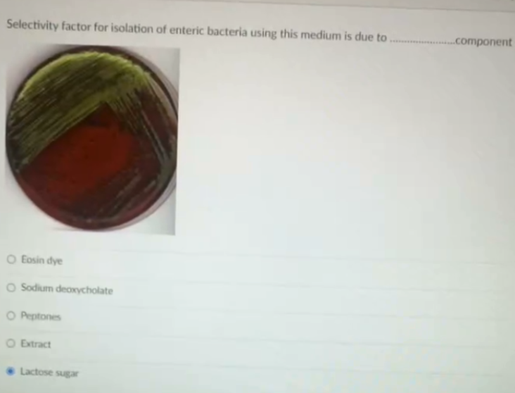 Solved Selectivity factor for isolation of enteric bacteria | Chegg.com