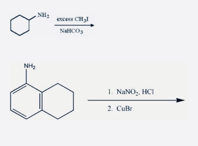 Solved NH2 excess CH 31 NaHCO3 NH2 1. NaNO2, HCI 2. CuBr | Chegg.com