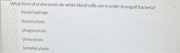Solved What form of endocytosis do white blood cells use in | Chegg.com