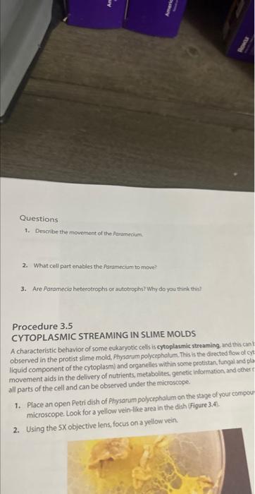 [Solved]: Cell Wall Pili Plasma Membrane Cell Part Cytoplasm