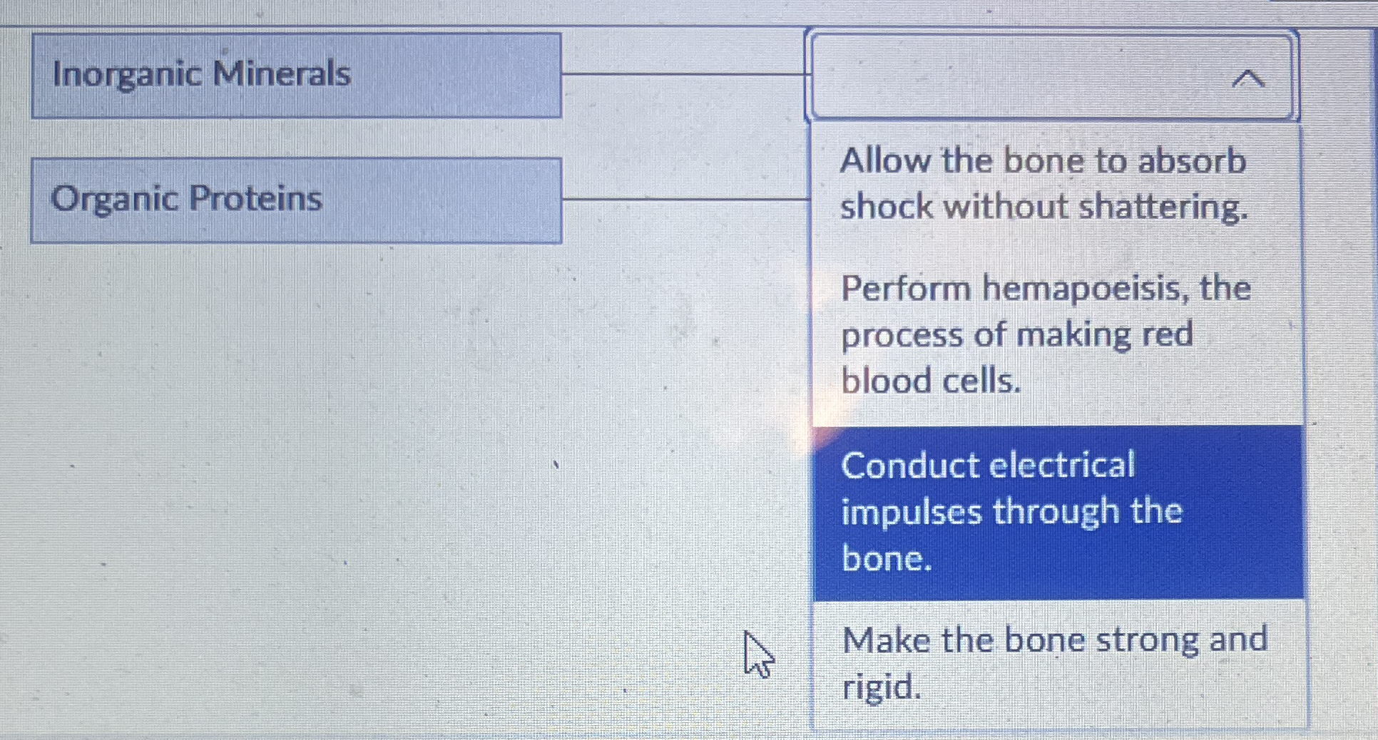 Solved Inorganic MineralsAllow the bone to absorbOrganic | Chegg.com