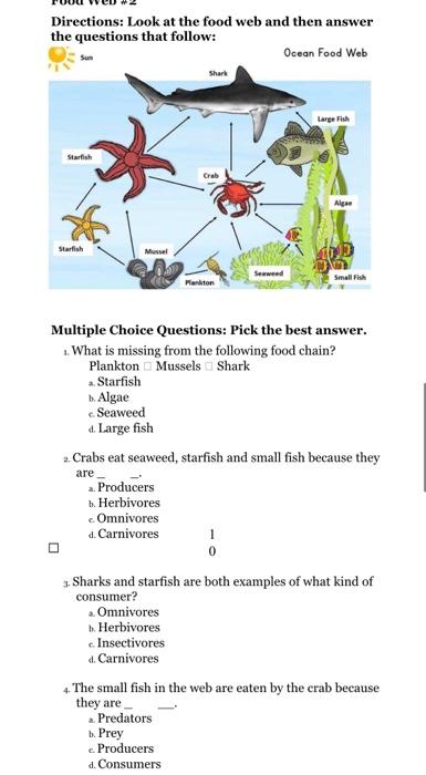 Solved Directions: Look at the food web and then answer the | Chegg.com