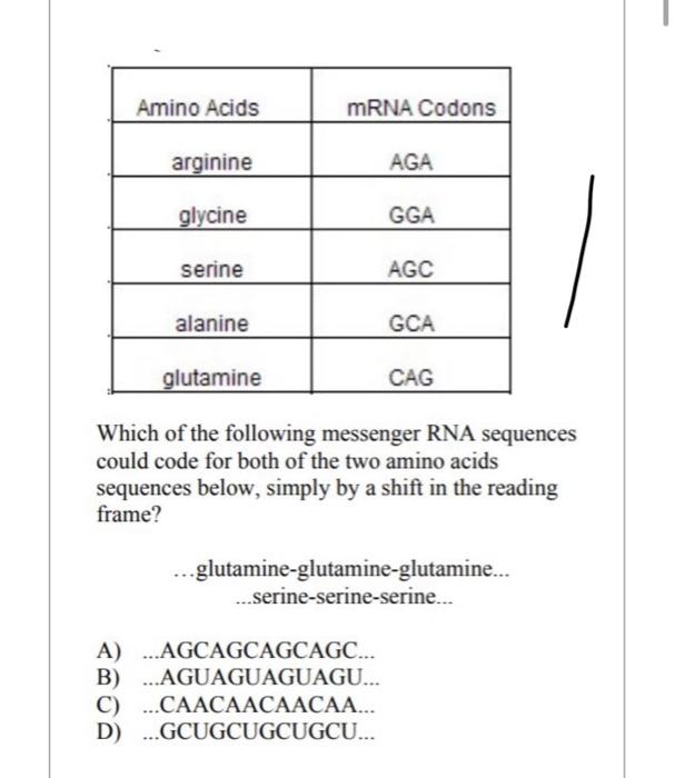 Solved Amino Acids mRNA Codons arginine AGA glycine GGA | Chegg.com