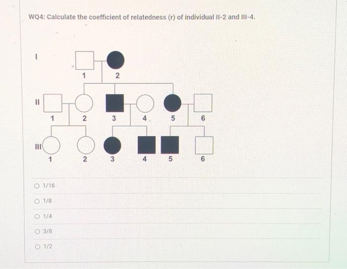 Solved WQ4: Calculate the coefficient of relatedness (r) of | Chegg.com