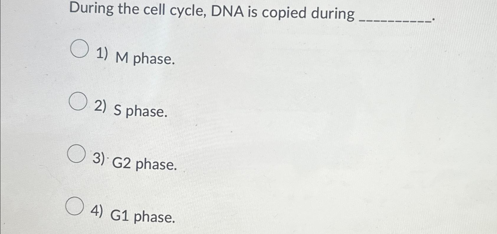 Solved During the cell cycle, DNA is copied duringM | Chegg.com