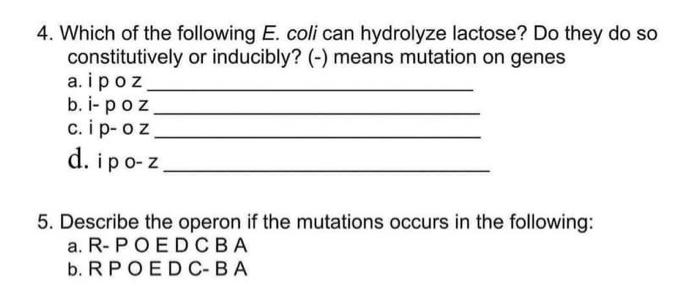 Solved 4. Which of the following E. coli can hydrolyze | Chegg.com