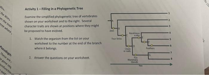 Solved 1. Which of the nodes on the diagram above (labeled | Chegg.com