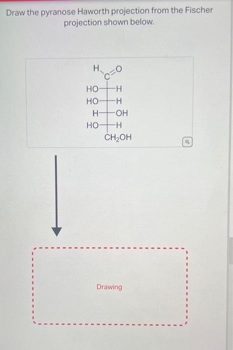 Solved Draw the pyranose β-anomer Haworth projection from | Chegg.com