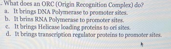 Solved What does an ORC (Origin Recognition Complex) do? a. | Chegg.com