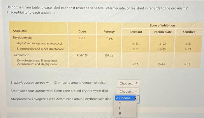 Solved Place the steps of the Kirby Bauer method of | Chegg.com
