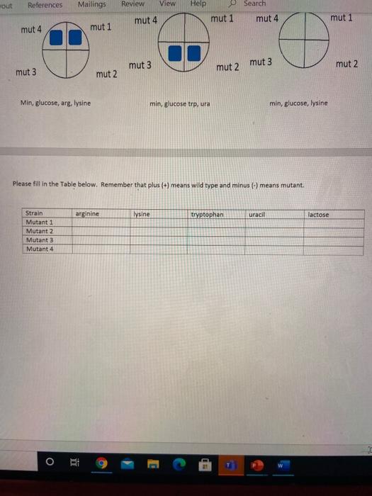 Solved mut 1 mut 4 mut 1 mut 4 mut 4 mut 1 mut 3 mut 3 mut 2 | Chegg.com