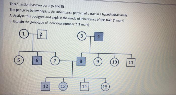 Solved This question has two parts (A and B). The pedigree | Chegg.com