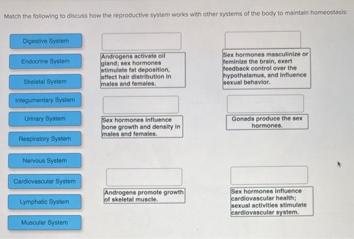Solved Match the following to discuss how the reproductive | Chegg.com