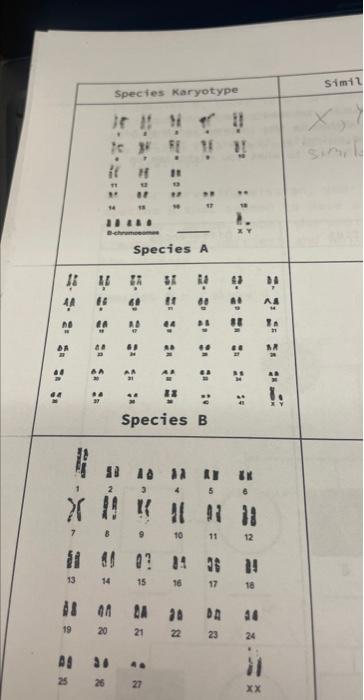 Solved compare the similarities and differences between | Chegg.com