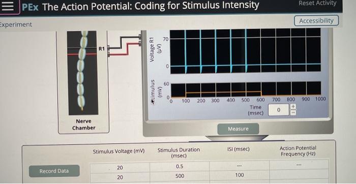 Solved Reset Activity PEx The Action Potential: Coding for | Chegg.com