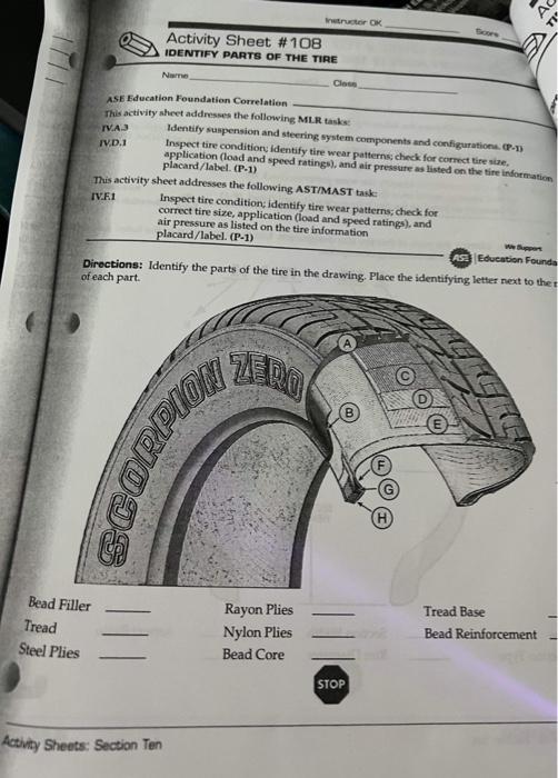 Solved ASE Fducation Foundation Correlatien This activity | Chegg.com