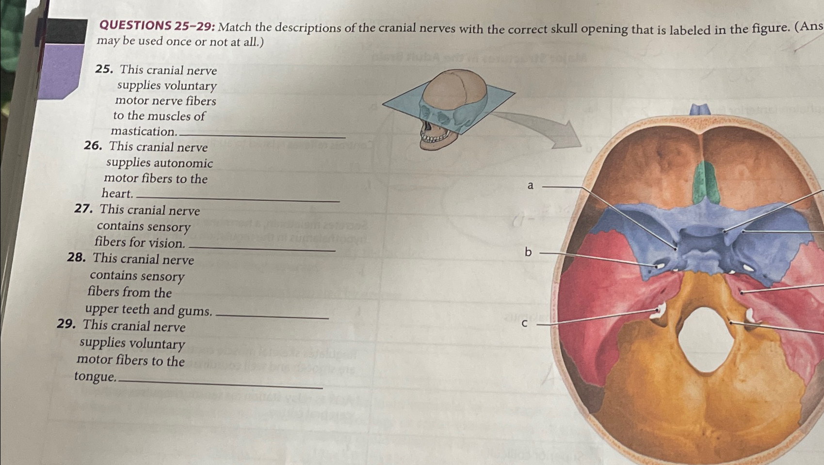 Solved QUESTIONS 25-29: Match the descriptions of the | Chegg.com