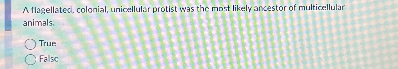 Solved A flagellated, colonial, unicellular protist was the | Chegg.com