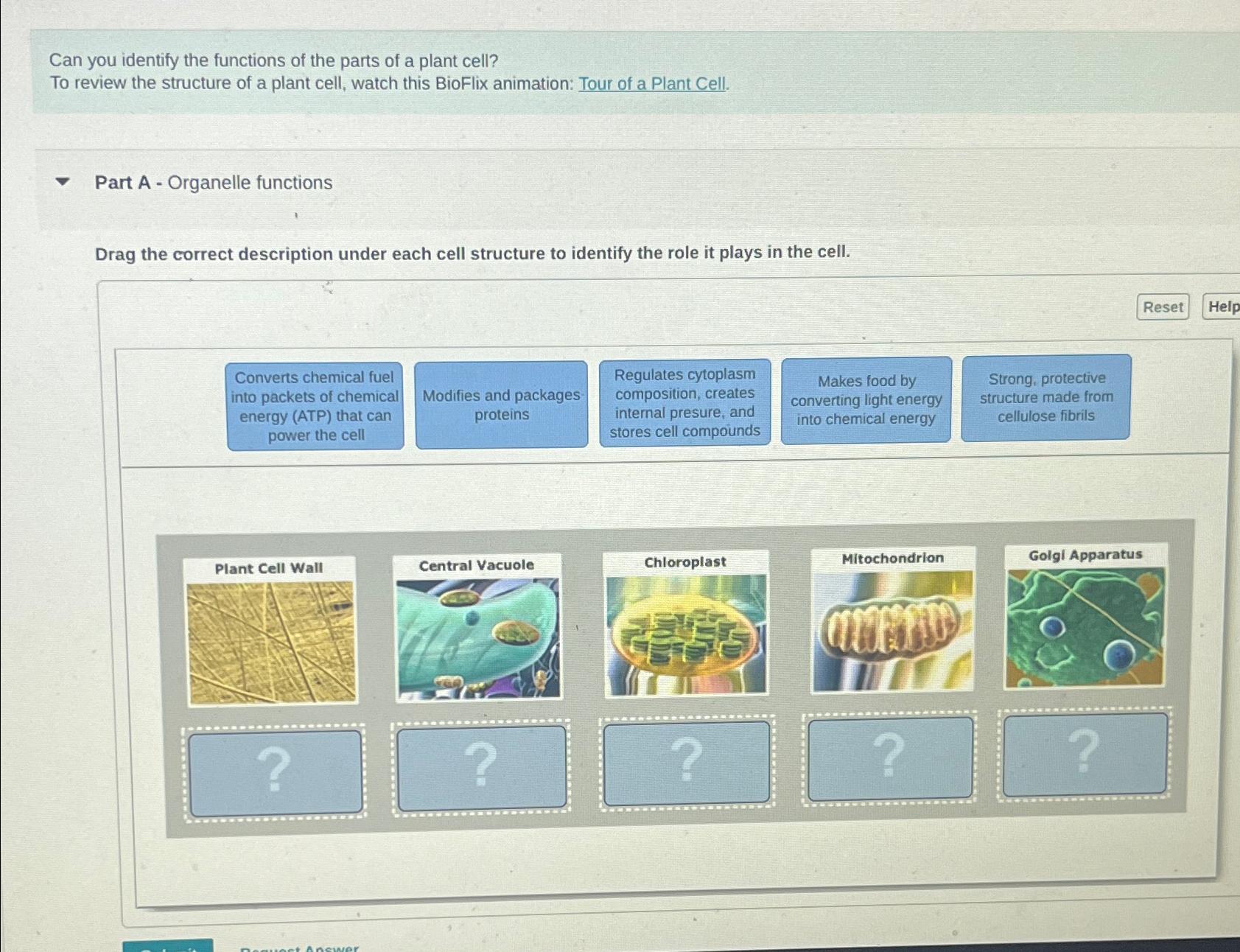 Solved Can you identify the functions of the parts of a | Chegg.com