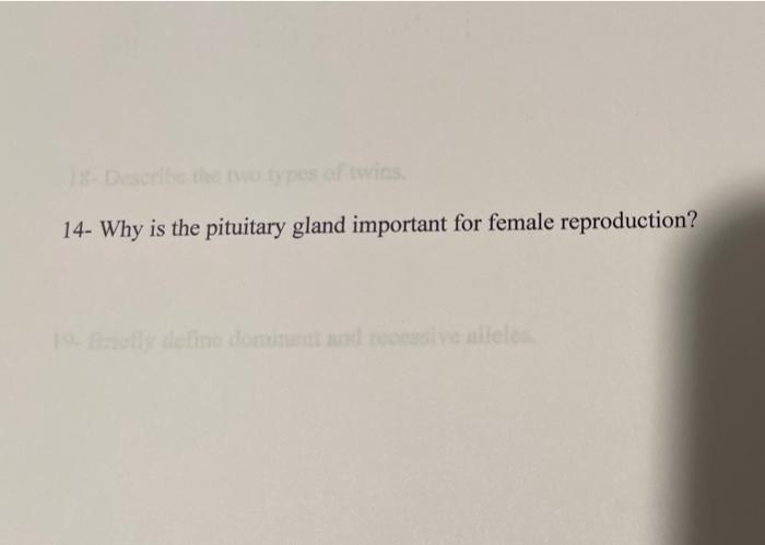 Solved 9- Briefly define seminal vesicles, rete testis, | Chegg.com