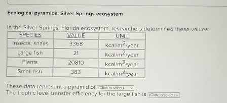 Solved Ecological pyramids: Silver Springs ecosystemIn the | Chegg.com