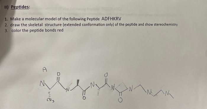 Solved 1. Make a molecular model of the following Peptide | Chegg.com