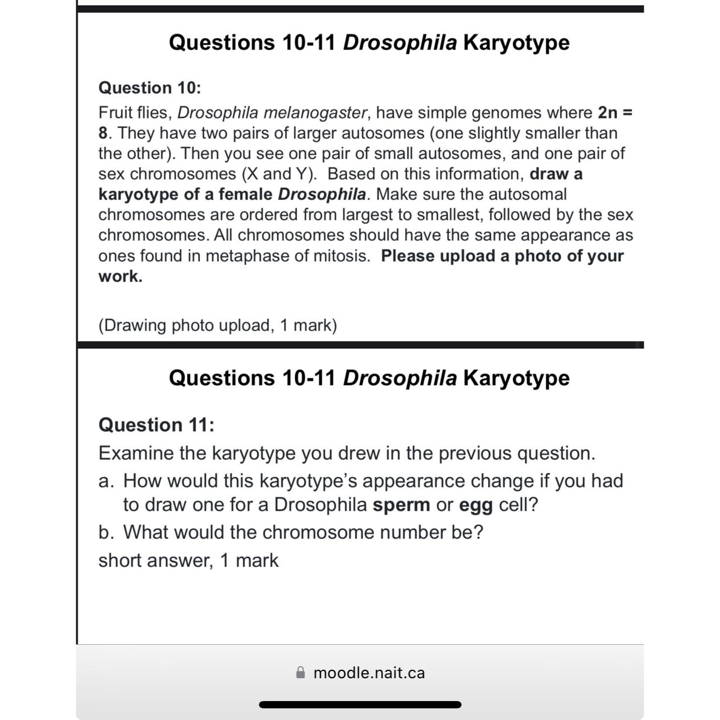 Solved Questions 10-11 ﻿Drosophila KaryotypeQuestion | Chegg.com