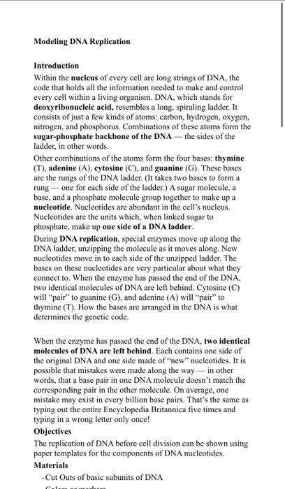Modeling Dna Replication Introduction Within The