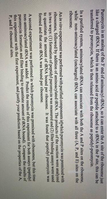 Solved Puromycin is an analog of the 3' end of | Chegg.com