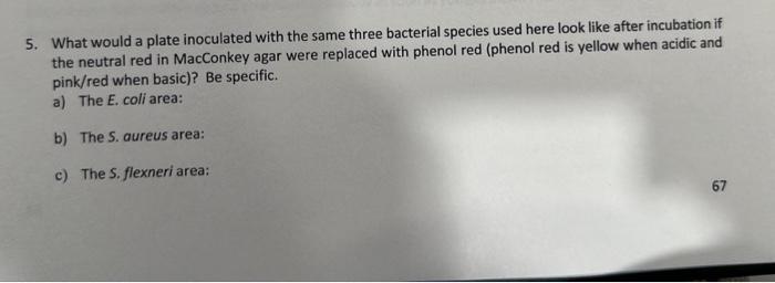 Solved 5. What would a plate inoculated with the same three | Chegg.com