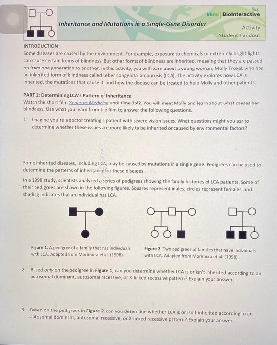Solved hhmi Biolnteractive Inheritance and Mutations in a | Chegg.com