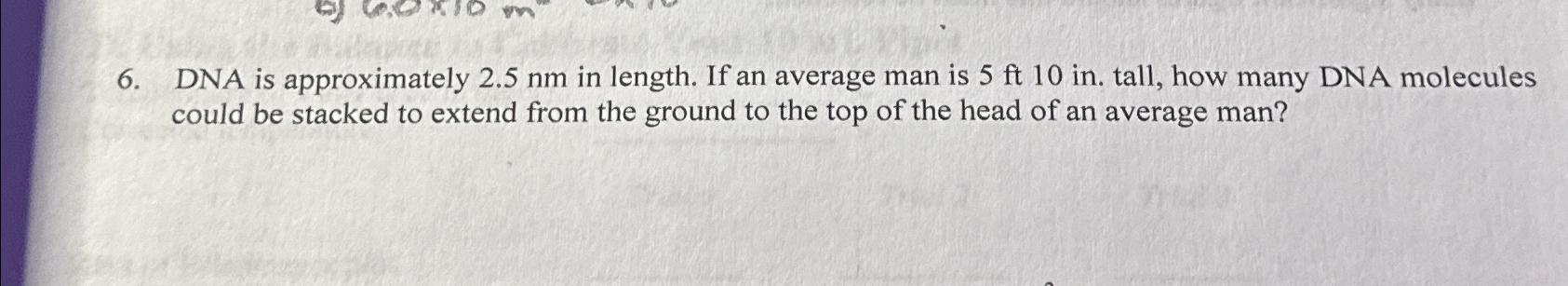 Solved DNA is approximately 2.5nm ﻿in length. If an average | Chegg.com