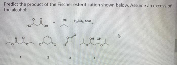 Solved Predict the product of the Fischer esterification | Chegg.com