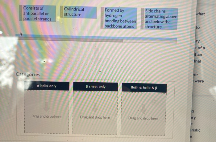 Solved Formed by hydrogen- bonding between backbone atoms | Chegg.com