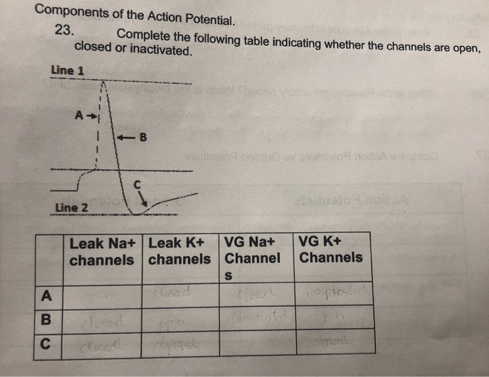 Solved 24. Complete the table to the right indicating | Chegg.com