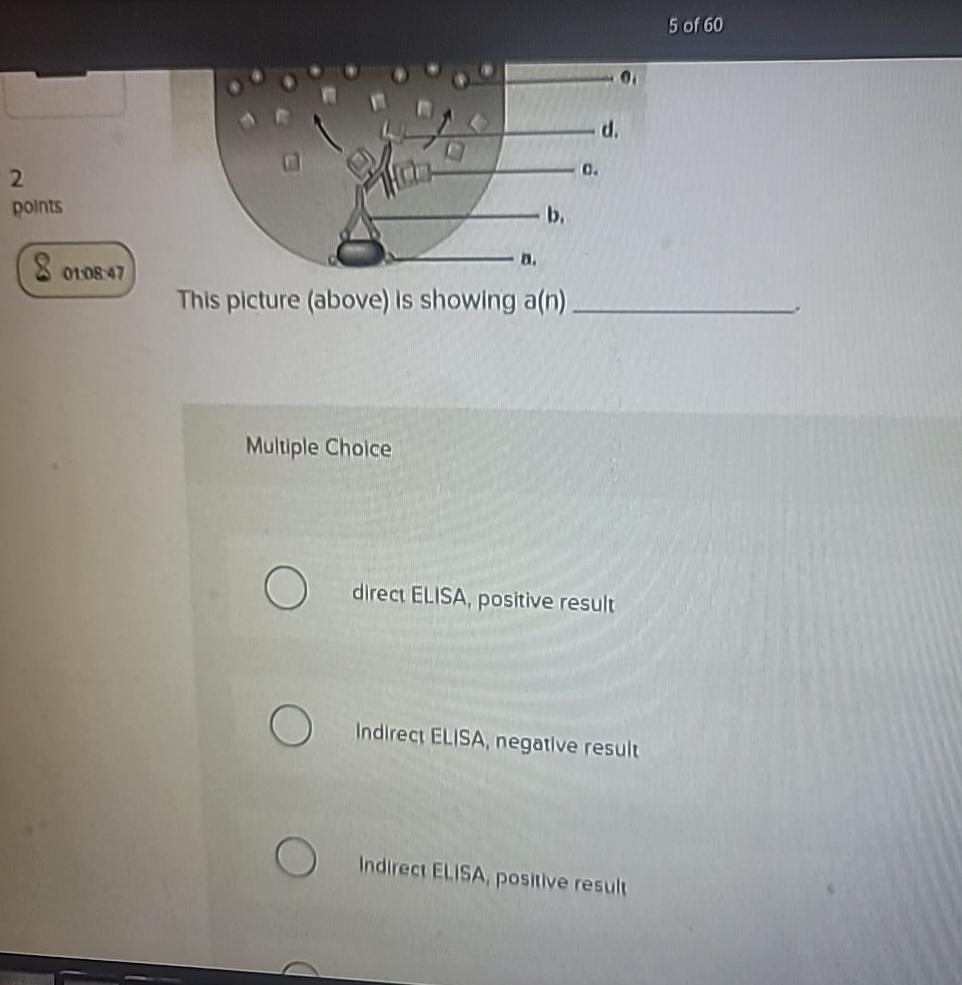 Solved 0108475 ﻿of 602points8010847This picture (above) ﻿is | Chegg.com
