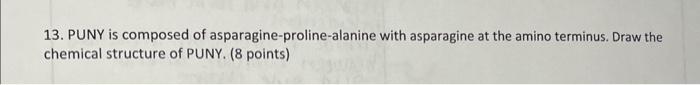 Solved 13. PUNY is composed of asparagine-proline-alanine | Chegg.com