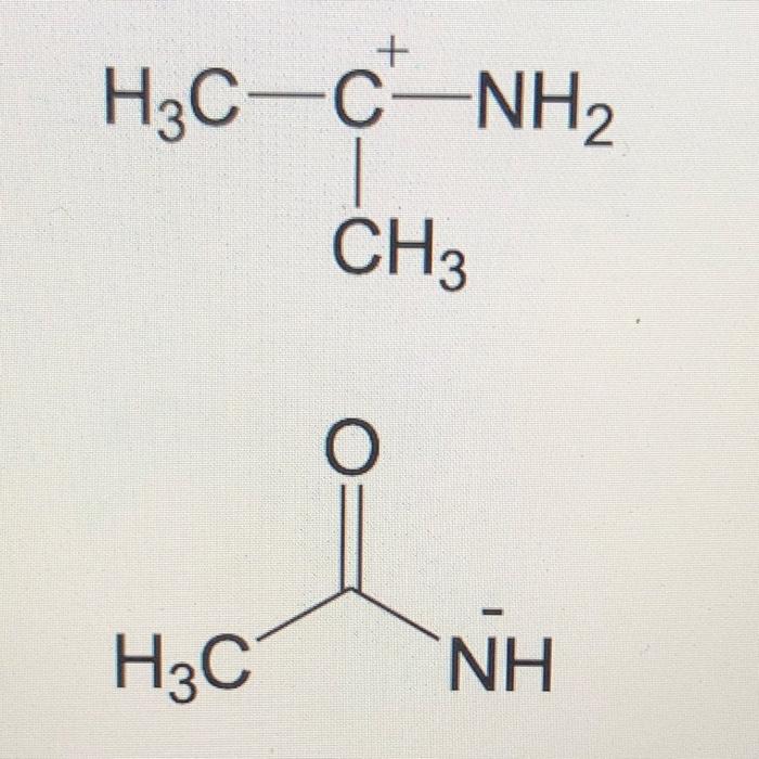 Solved N: z: H,C +2=0 : | + H3C-C-NH2 С — CH3 O= 로 H3C | Chegg.com