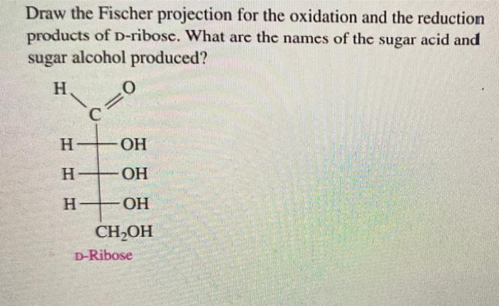 Solved Draw the Fischer projection for the oxidation and the | Chegg.com