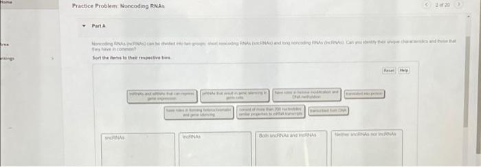 Solved Home Area ettings Practice Problem: Noncoding RNAs | Chegg.com