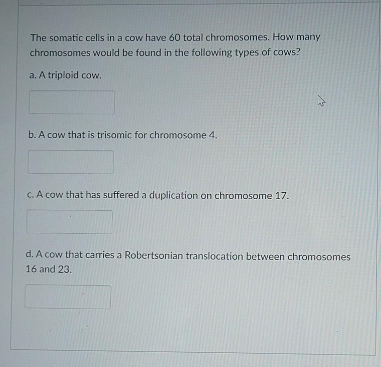 Solved The somatic cells in a cow have 60 total chromosomes. | Chegg.com