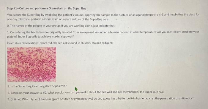 Solved Step #1-Culture and perform a Gram-stain on the Super | Chegg.com