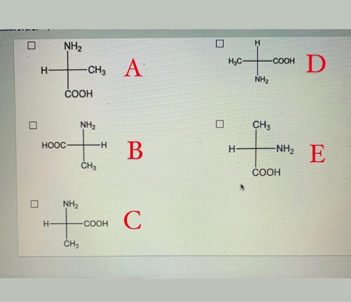 Solved NAV H NH2 н,с. COOH H + -cн, А D NH2 COOH NH2 CH3 | Chegg.com