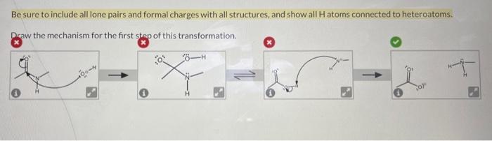 Solved Amides can undergo a two-step hydrolysis process. | Chegg.com