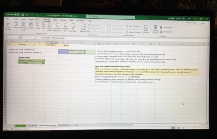 Excel Assignment 2 (IS 101) All the instructions and | Chegg.com