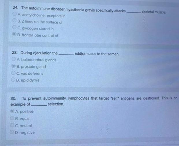 Solved 24. The autoimmune disorder myasthenia gravis | Chegg.com