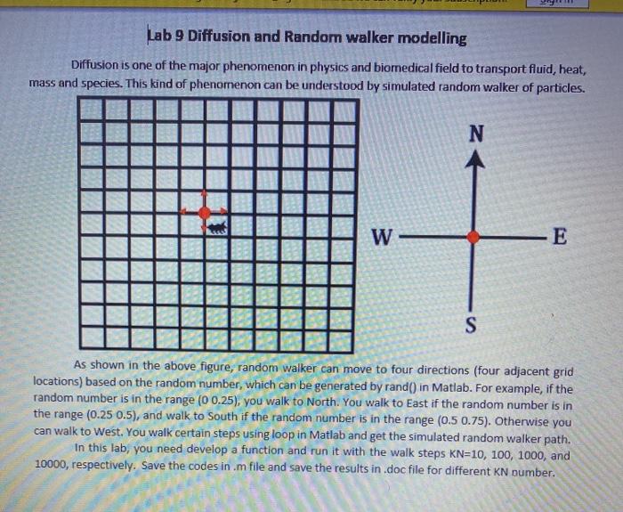 Solved Lab 9 Diffusion and Random walker modelling Diffusion | Chegg.com