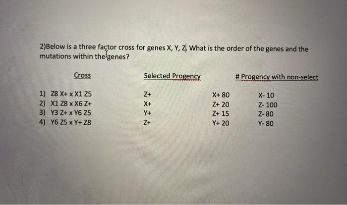 2)Below is a three factor cross for genes X, Y, Z | Chegg.com