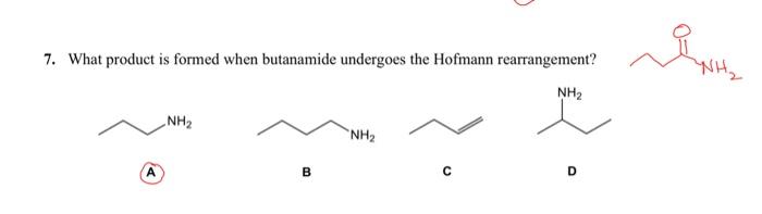 Solved 7. What product is formed when butanamide undergoes | Chegg.com