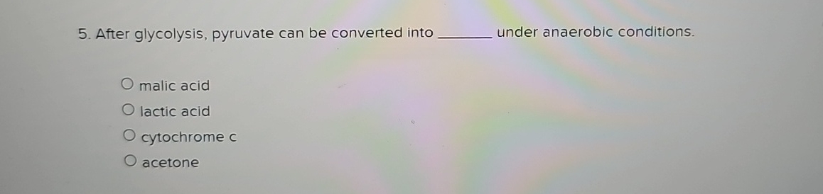 Solved After glycolysis, pyruvate can be converted into | Chegg.com